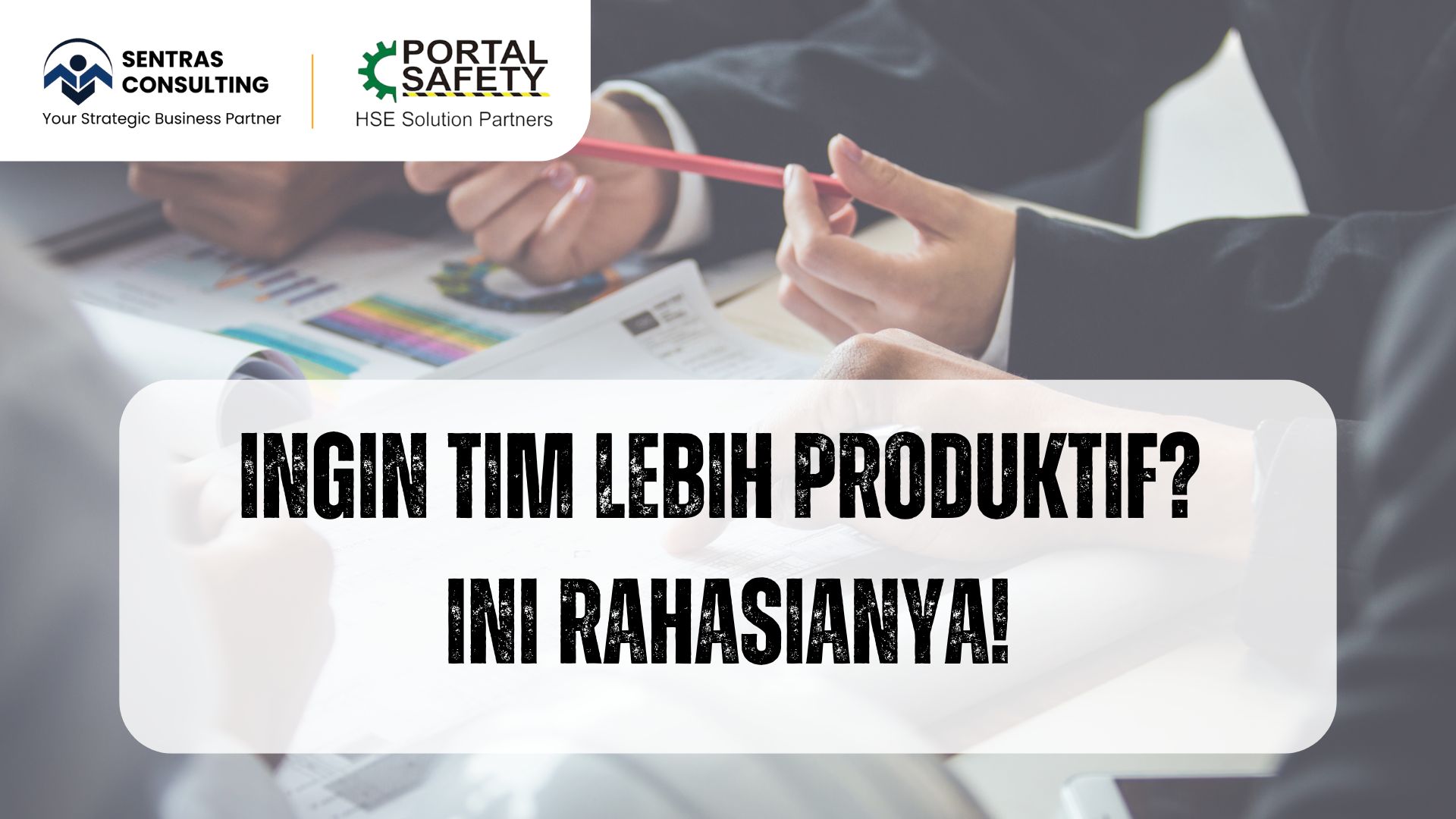 Ingin Tim Lebih Produktif? Ini Rahasianya! - Sentras Consulting