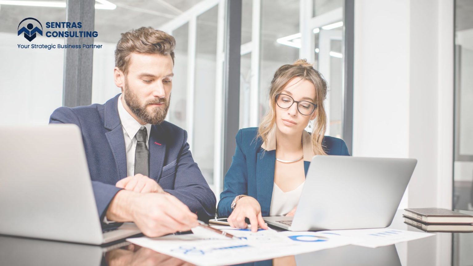 Performance Appraisal With Key Performance Indicators (KPI) - Sentras Consulting