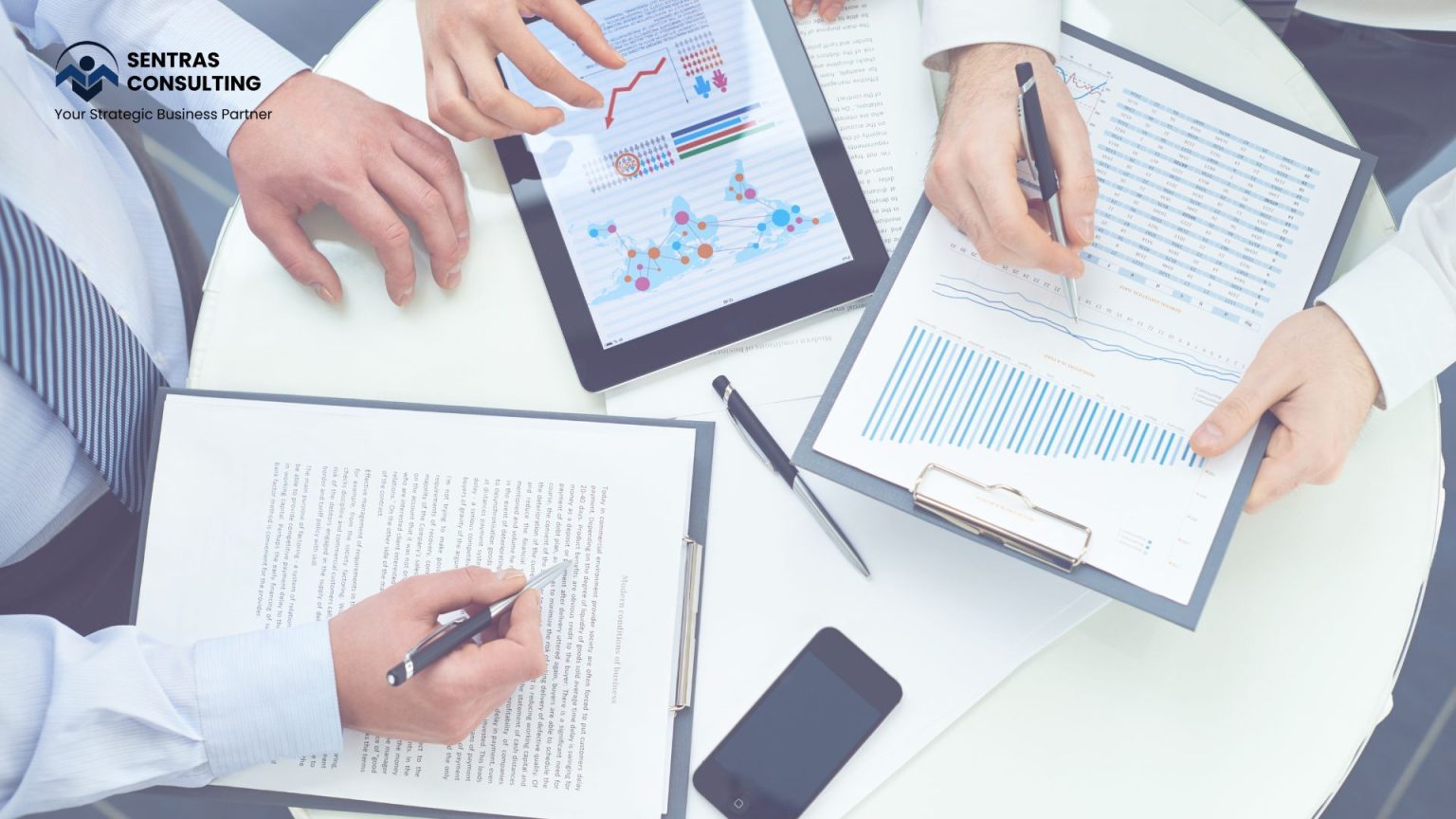 Managing Your Sales & Distribution Activities - Sentras Consulting
