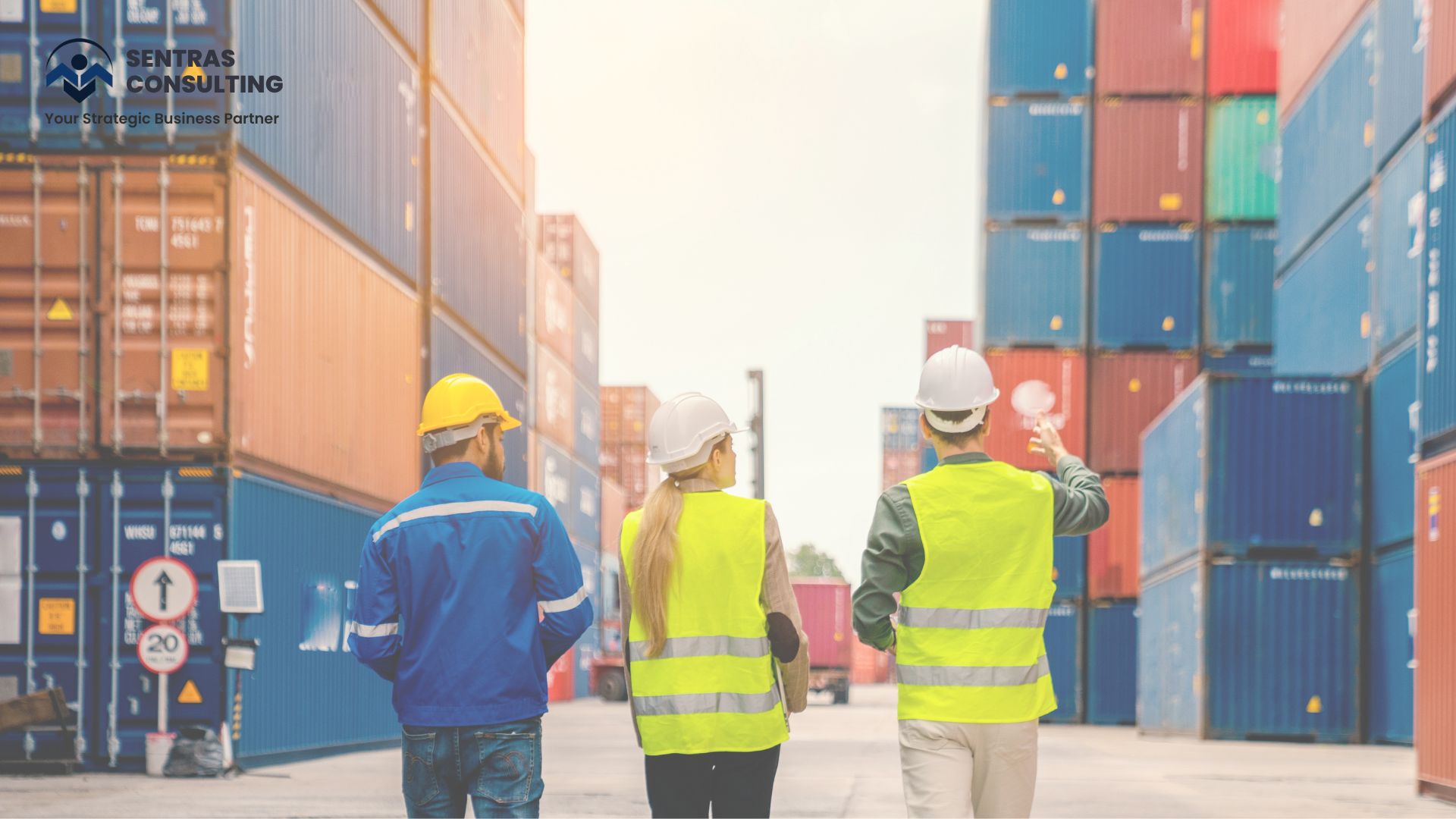 Supply Chain Management (SCM) - Sentras Consulting