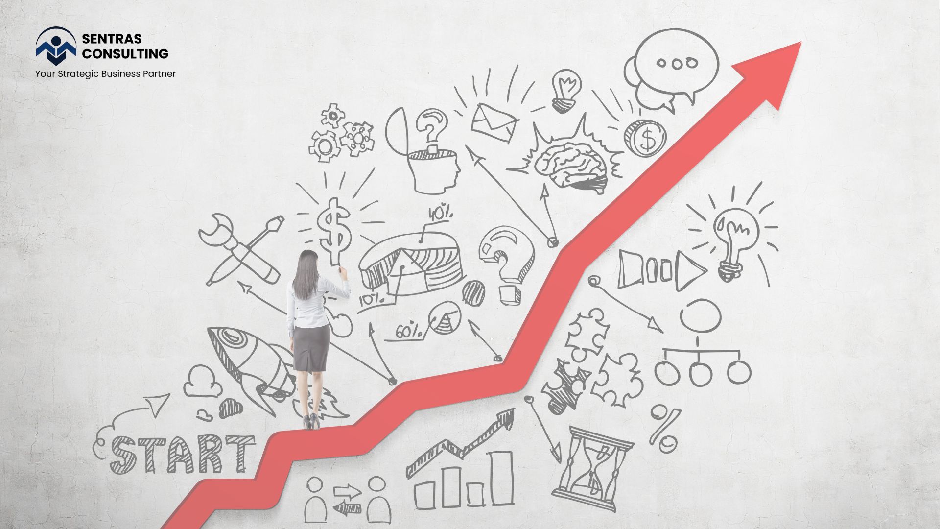 Career Development Management - Sentras Consulting