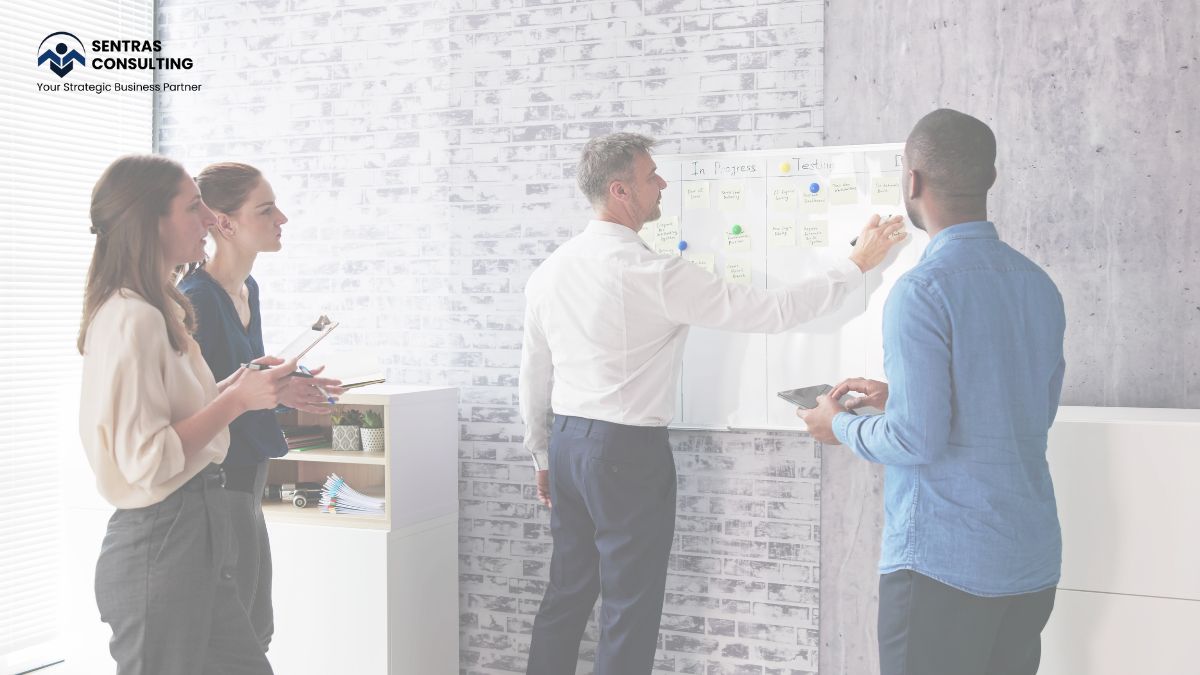 Change Management & Organizational Agility - Sentras Consulting